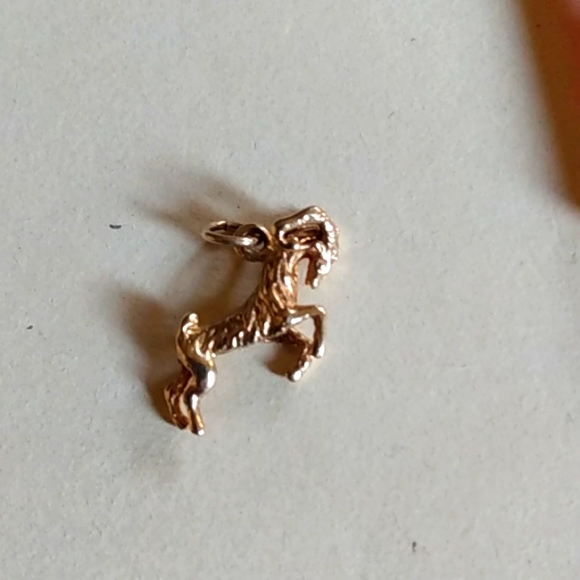 Jewelry | 14k Yellow Gold Ram Pendant | Poshmark